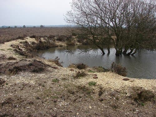 Ashley Walk | New Forest National Park